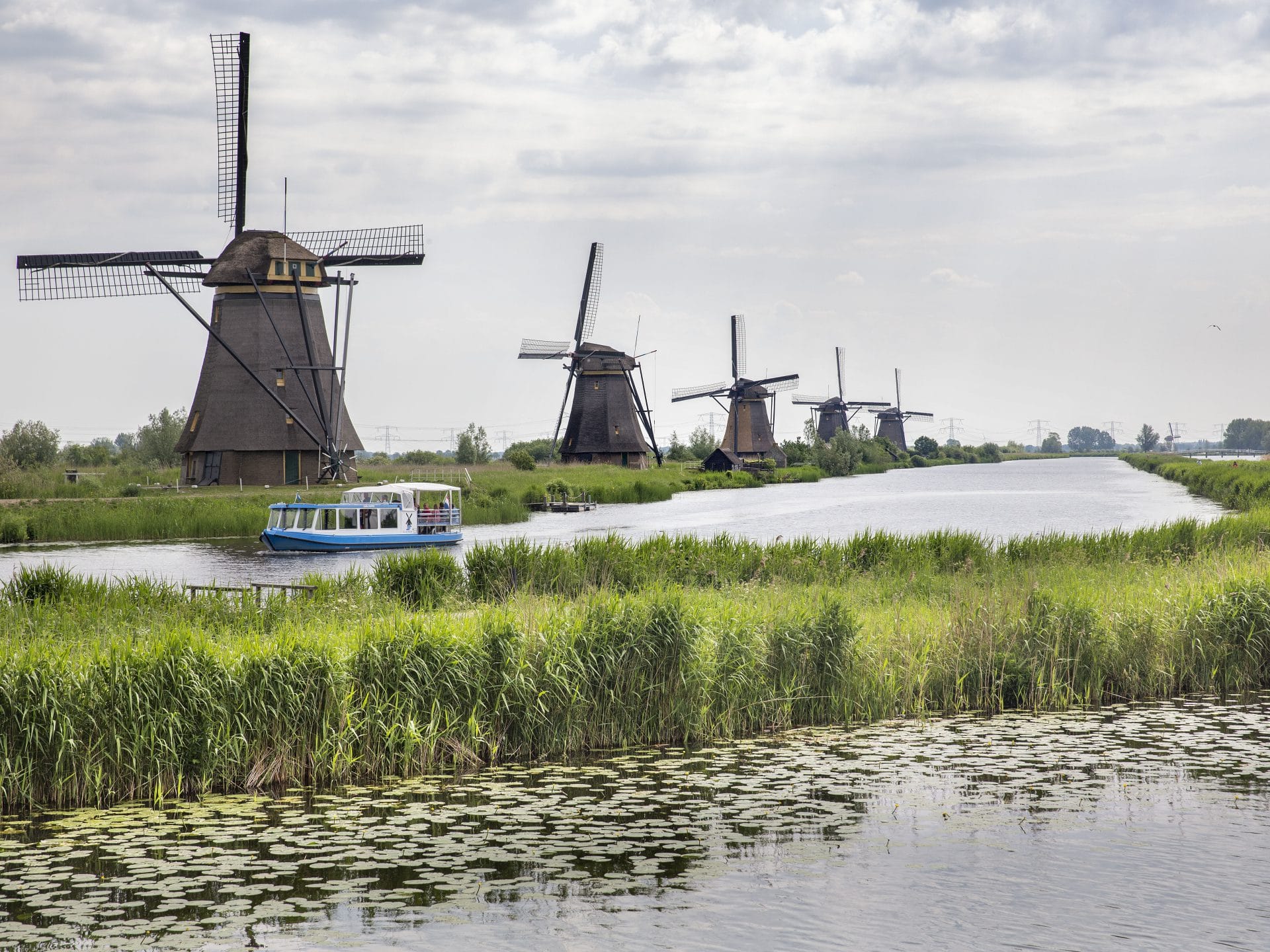 VVV Alblasserwaard | Alles over te zien en te doen in de Alblasserwaard
